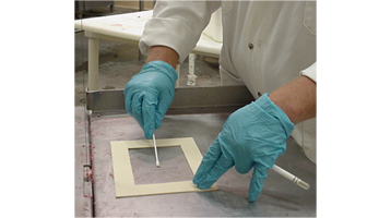 E. coli Testing - Mold & Bacteria Laboratories Store